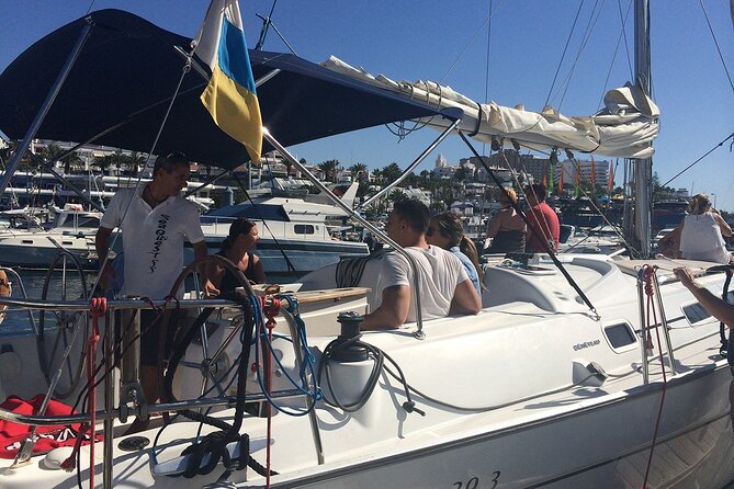 South Coast Tenerife Cruise - An In-Depth Look at the Tenerife Coastal Cruise