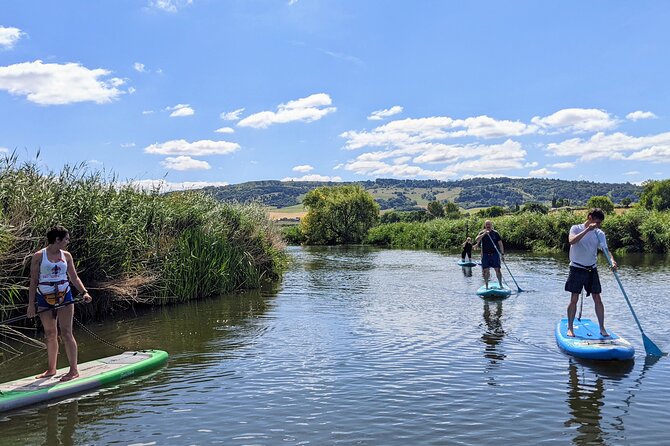 Stand-up Paddleboard SUP Safari on The River Avon For Beginners - Key Points