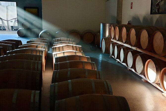 Visit and Wine Tasting at the Territorio Luthier Winery - Key Points