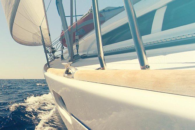 Whale and Dolphin Watching Yacht Trip in Puerto Colon
