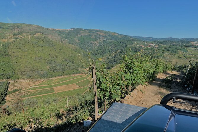 Winery Tour and Wine Tasting Quinta da Portela de Baixo in Lamego - Introduction: Why This Tour is Worth Your Time