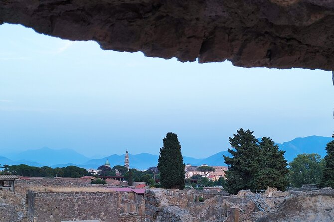 2 Hours Private Tour in Pompeii with Archaeologist