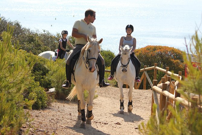 Algarve - Exclusive horseriding in Portimao (no experience required) - The Itinerary in Detail