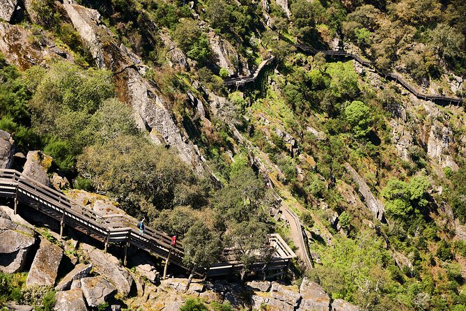 Arouca Suspension Bridge and Paiva Walkway Day Tour from Porto - What Makes This Tour Truly Special?