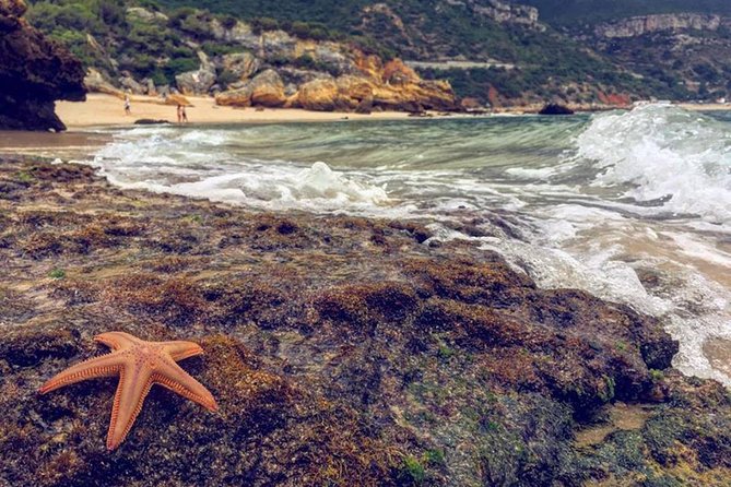 Arrábida Jeep Tour Europe's Most Beautiful Beach & Hidden Gems - Transportation & Timing