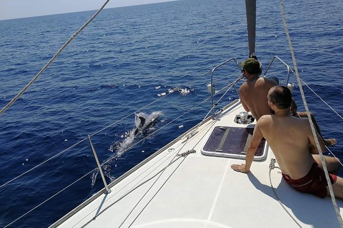 Authentic Barcelona Sailing Tour with Swim & Drinks - Authenticity and Reviews: What Travelers Say