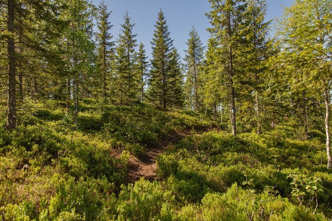 Best View of the Oslofjord Hike