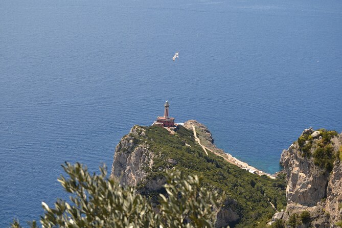 Capri Island and Blue Grotto Small Group Day Tour from Capri Port - The Value and Practicalities