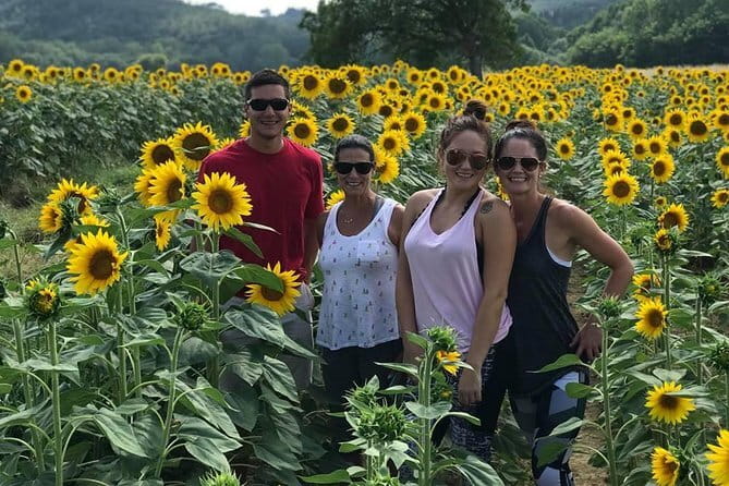 Chianti Wineries Tour with Tuscan Lunch and San Gimignano