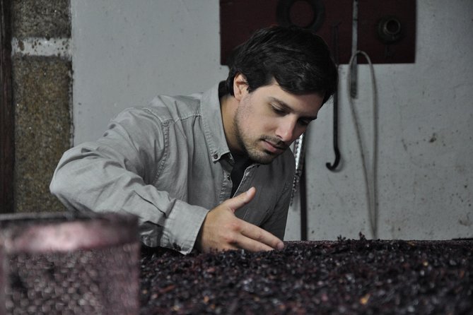 Classic Wine Tasting with GUIDED TOUR