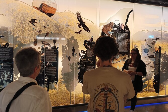 Corinth, Cave of Lakes, Odontotos Railway Private Tour with Greek Lunch Included - Who Is This Tour Best Suited For?