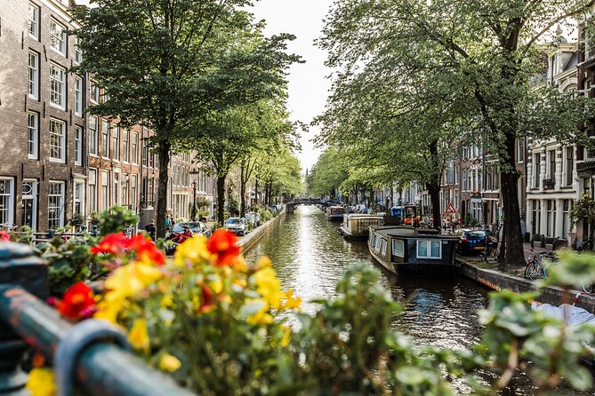 Custom Private Amsterdam Tour: Local Highlights and Hidden Gems - The Pros and Cons