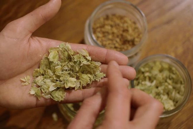 Czech Beer Tasting Experience - The Itinerary and What to Expect