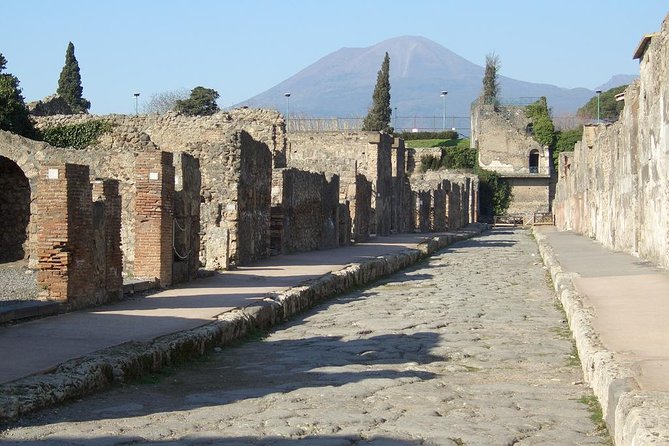 Day Trip to Pompeii, Positano and Amalfi Coast- Semi Private Tour - Real Traveler Insights