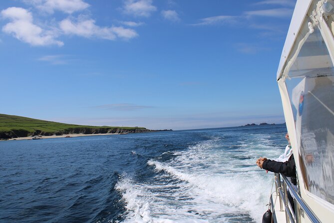 Dingle Dolphin Blasket Adventures
