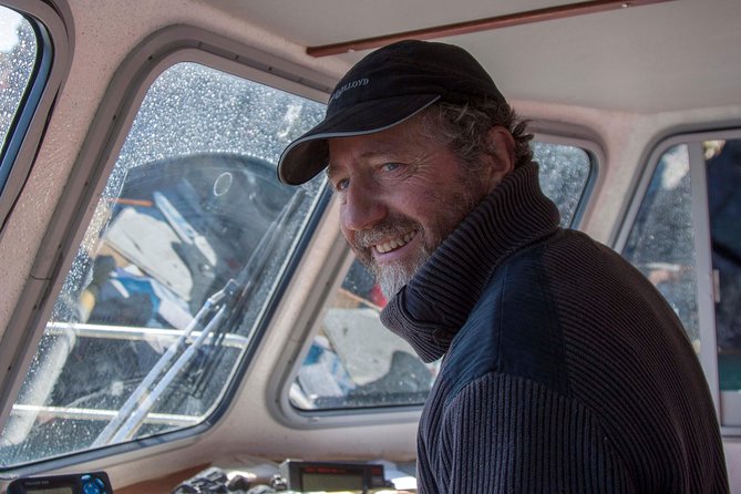 Dolphin and Whale Watching Tour from Dingle