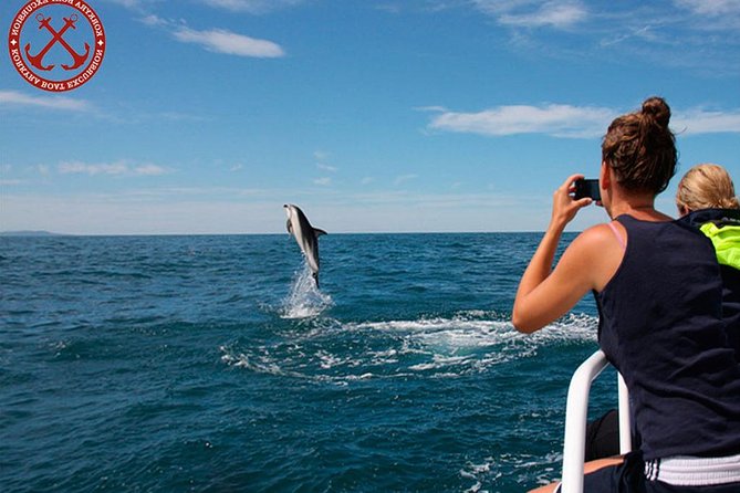 Dolphins Watching in the National Park Brijuni from Pula