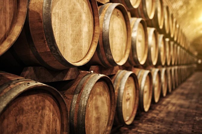 Douro Private Tour Customizable Experience - Whats Included and What to Keep in Mind