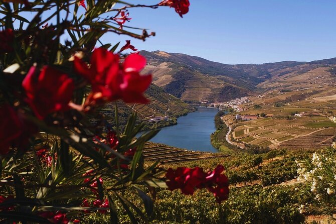 Douro Three Winery Small Group Tour with Lunch and Tastings - FAQ