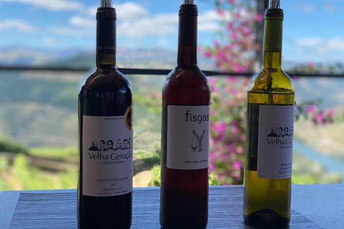 Douro Valley in a Tesla - Things to Keep in Mind