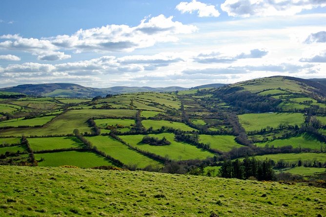 Dublin to Kilkenny Castle and House Of Waterford Crystal Day Tour - A Closer Look at the Itinerary