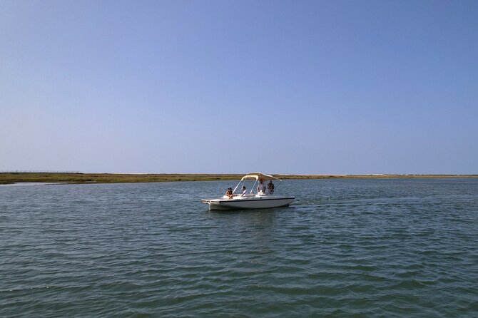 Eco Boat Tour in the Ria Formosa Lagoon from Faro