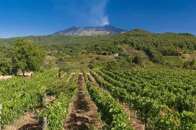 Etna panoramic private tour+Wine taste&food combination(AMAZING)