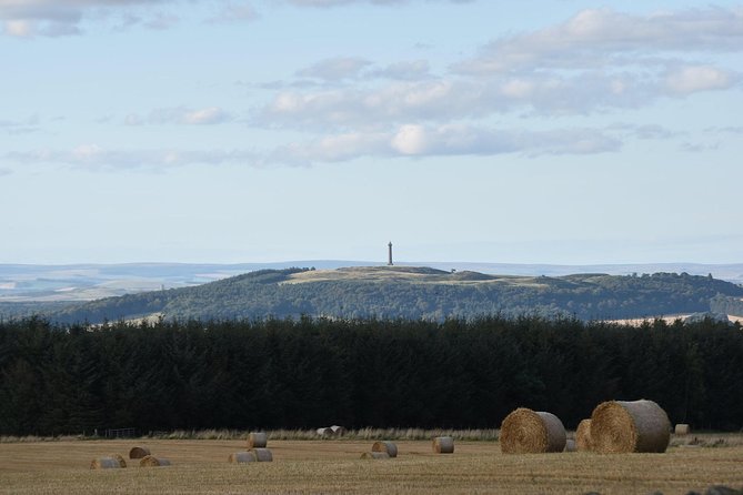 Farm Attraction - Highland Cows, Animal Feeding, Wholesome fun!