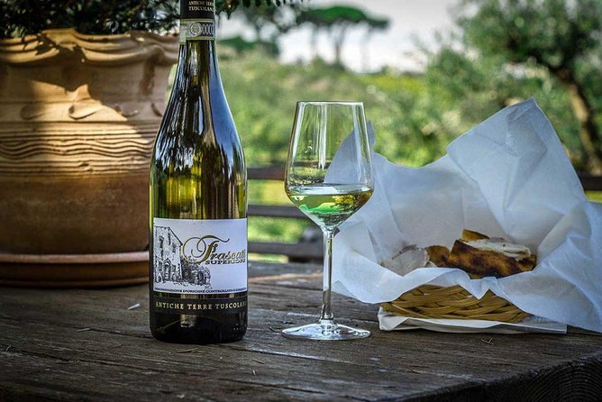 Frascati Wine Tasting Tour: The Flavors of the Roman Countryside - Who Is This Tour Best For?