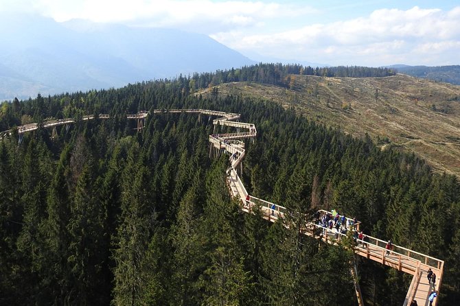 From Kraków: Slovakia Treetop Walk Bachledka and Zakopane