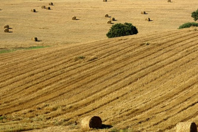 From Lisbon to Alentejo: Évora and Megaliths Full-Day Tour - Analyzing the Value