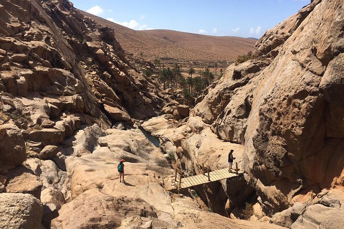 Fuerteventura South Exclusive Tour