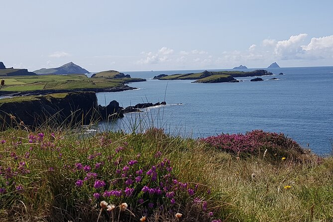 Full-Day Ring of Kerry Tour from Killarney