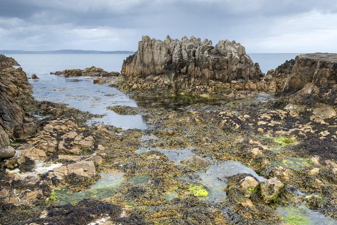 Game of Thrones and Giant's Causeway Full-Day Tour from Belfast