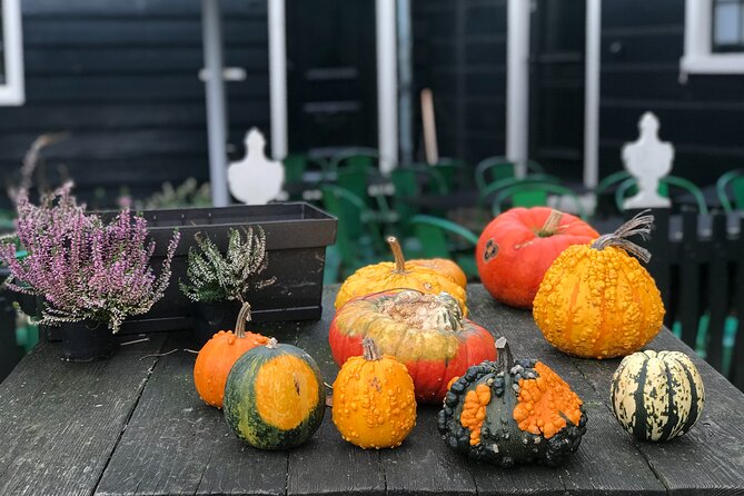 Giethoorn and Zaanse Schans Day Tour Small Group Incl. Boat Ride - Practical Details: What’s Included and What to Expect