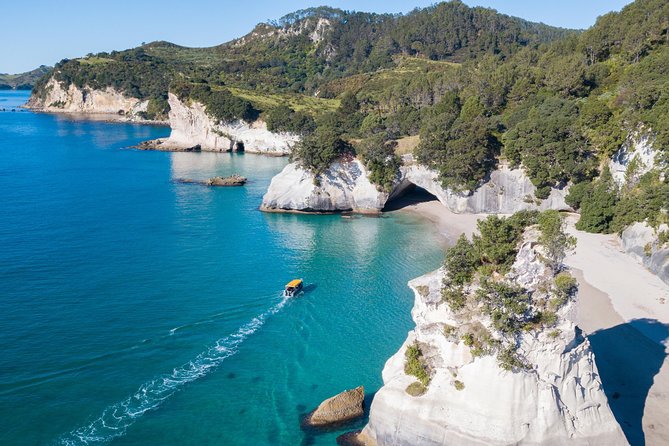 Glass Bottom Boat Whitianga Cathedral Cove Cruise - What to Expect on the Day