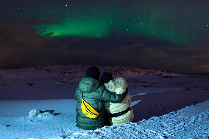 Golden Circle & Northern Lights Tour from Reykjavik - Authentic Feedback from Travelers