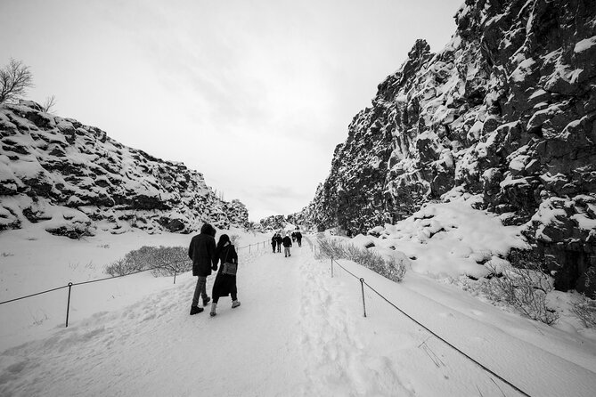 Golden Circle, Secret Lagoon and Northern Lights Tour - What the Reviews Tell Us