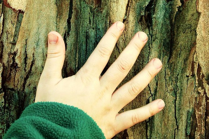 Greek Mythology Treasure Hunt for Kids - Athens Private Tour - What’s Included and Not?