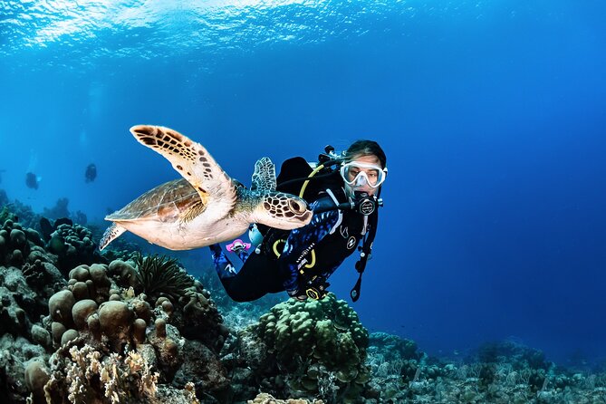 guided Scuba Diving on Tenerife (for certified divers)