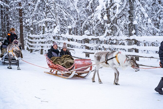 Half-Day Experience in Local reindeer farm in Lapland - Visiting an Authentic Reindeer Farm