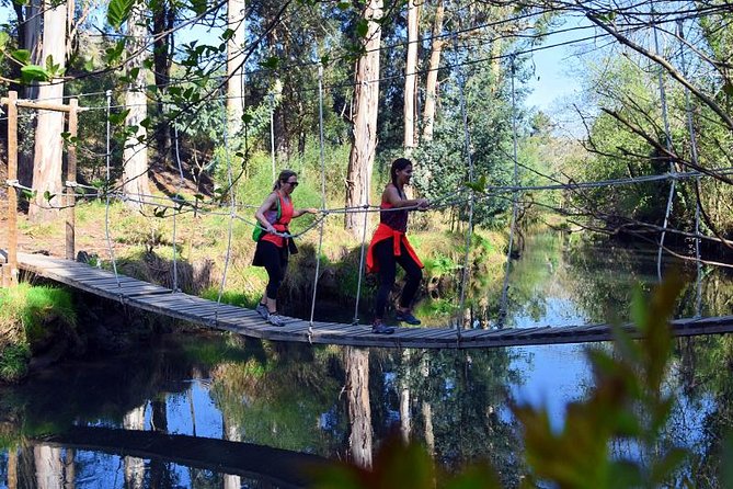 Half-day Hike & Picnic with Dog Love in Porto's Mountains