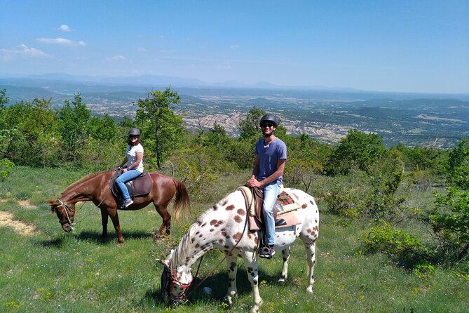 Horse ride in Haute Provence Luberon and Forcalquier - Who Should Consider This Tour?