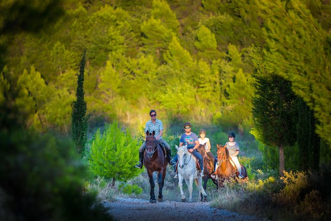 Horseback Riding in Konavle Region with Transport from Dubrovnik - Who Should Consider This Tour?
