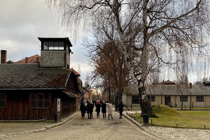 Krakow: Auschwitz-Birkenau Guided Tour & Hotel Pick Up - The Experience in Detail: What You Will See and Learn