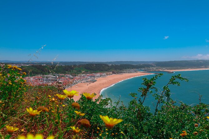 Lisbon: Sintra, Pena Palace, Nazaré & Fátima Small Group Tour - Transportation and Group Size