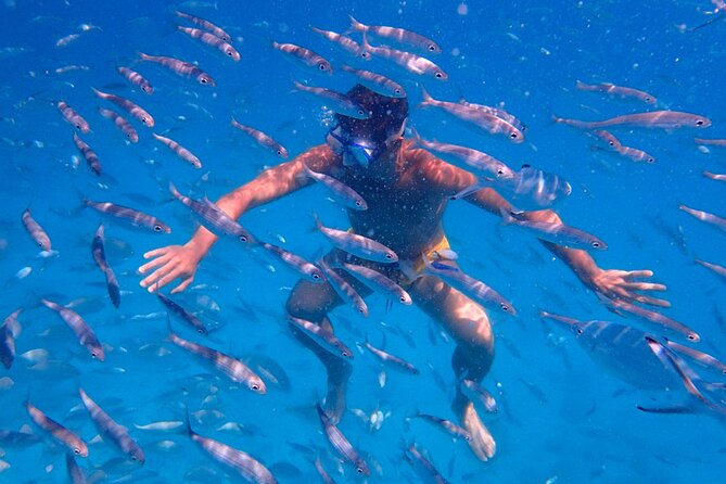Lobos Island Ferry with Snorkel from Corralejo, Fuerteventura - The Itinerary in Detail