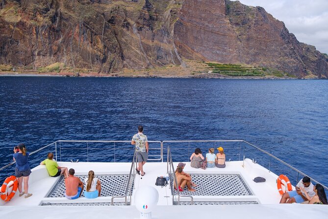 Madeira Dolphin and Whale Watching on a Ecological Catamaran