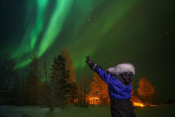 Northern lights tour to Lake Inari from Ivalo, Reindeers & Dinner