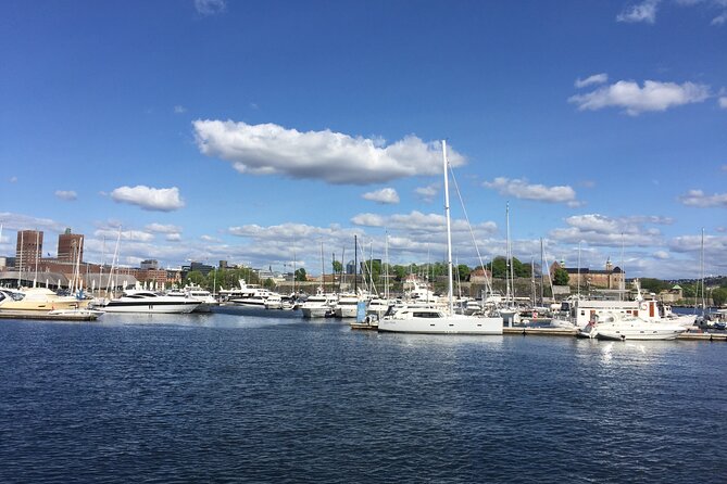 Oslo City Highlights with Fjord Cruise